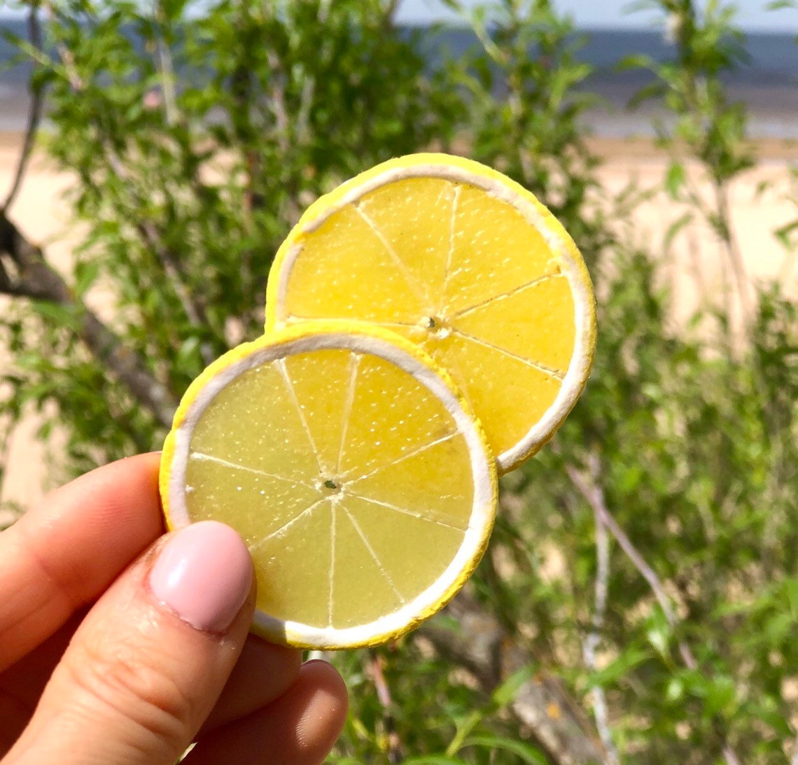 Lemon Pin, Citrus Pin, Cute Pin, Pins Cute, Fruit Pin, Fashion Pin ...
