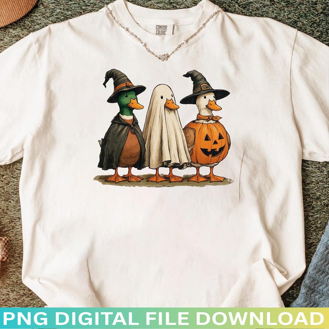 Witch Ghost Pumpkin Geese PNG, Halloween Duck Costume Trio Sublimation ...
