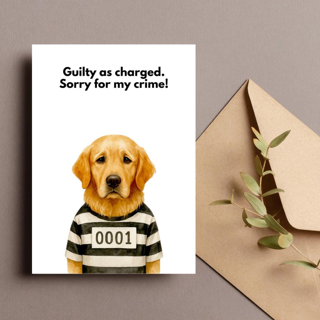 Dog Apology Card, Guilty Dog Card, Sorry Card, Dog Lover Apology Card ...