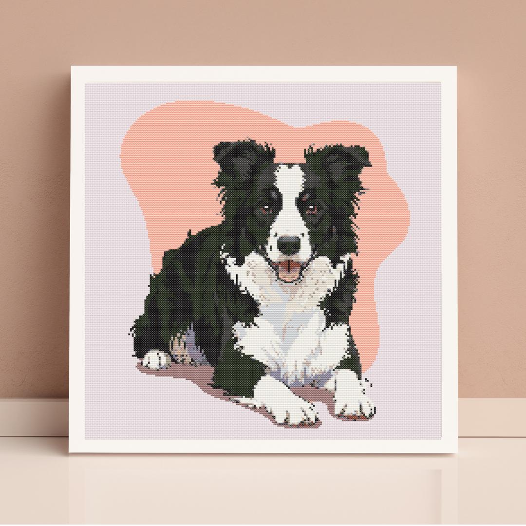 Border Collie Dog - Stitch Pattern - PDF Pattern - Etsy
