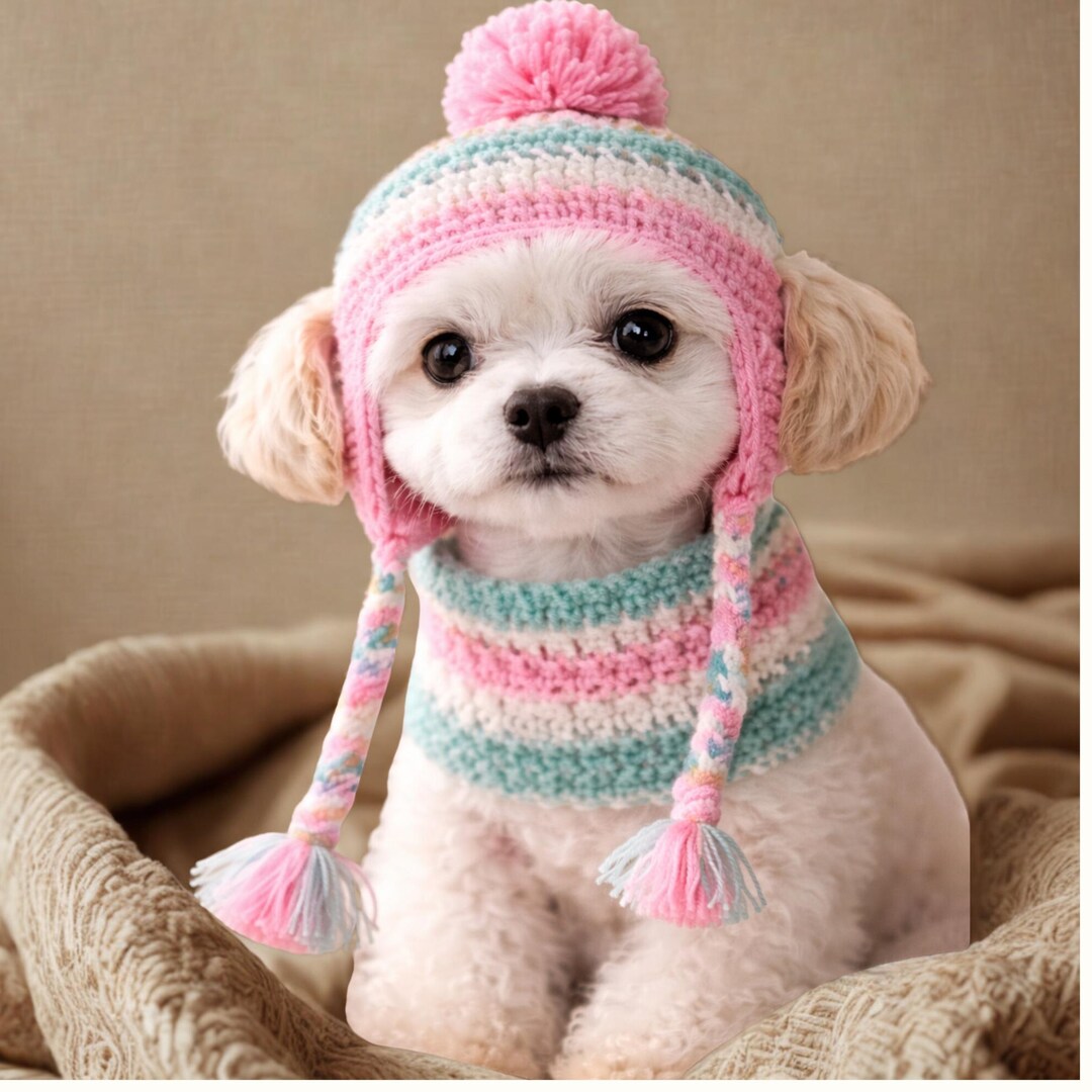 Crochet Dog Hat – Pastel Beanie With Pom (PDF Pattern Detail) - Etsy