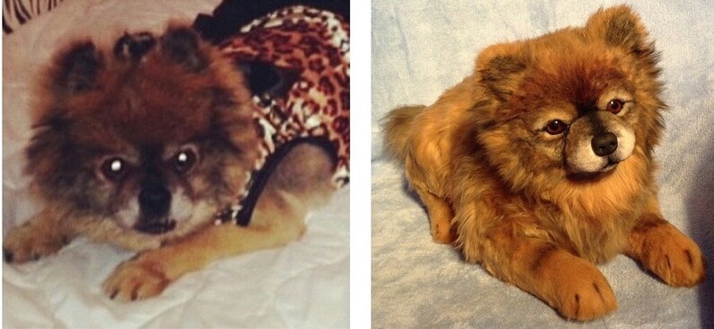 Realistic Plush Dog Replicas - Etsy