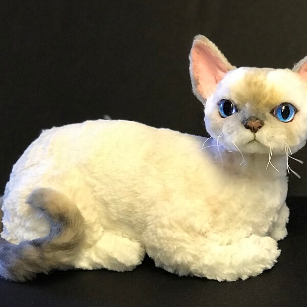 Devon Rex - Etsy