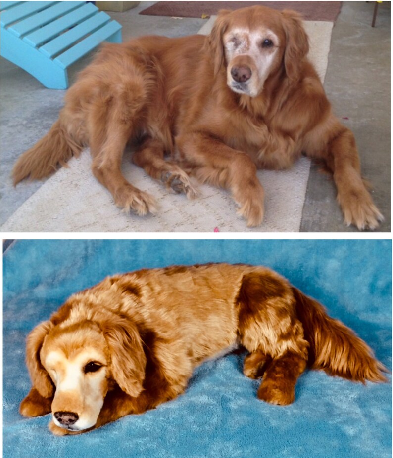 Realistic Plush Dog Replicas - Etsy