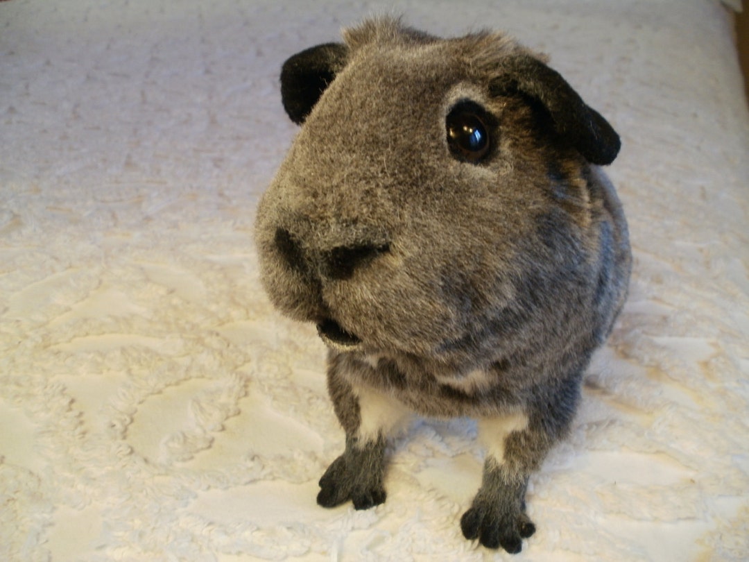 Pet Replicas, Animal Props, Realistic Plush, Dog Replica, Custom Dog ...