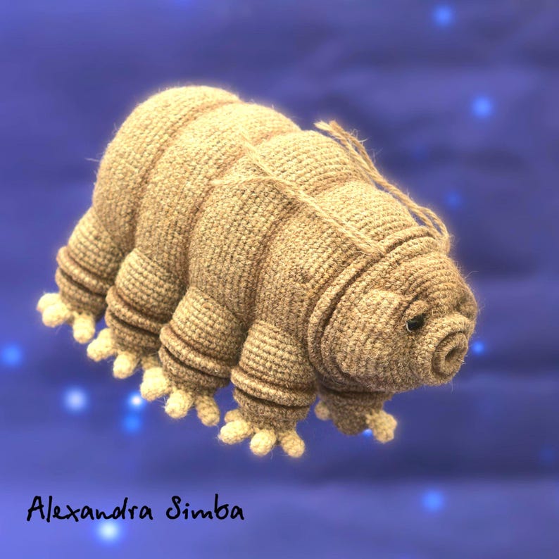 Tardigrade Crochet Pattern PDF: Water Bear Amigurumi Tutorial - Etsy