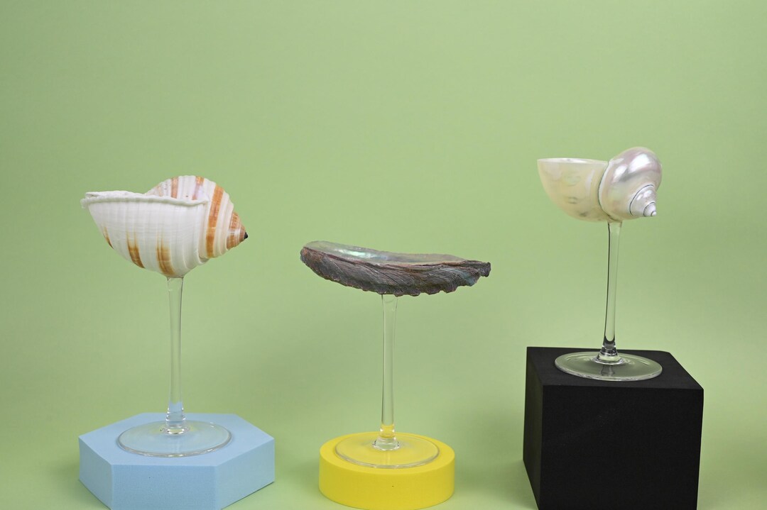 Natural Conch Shell Glasses, Beach Wedding Souvenirs, Handmade Shell ...