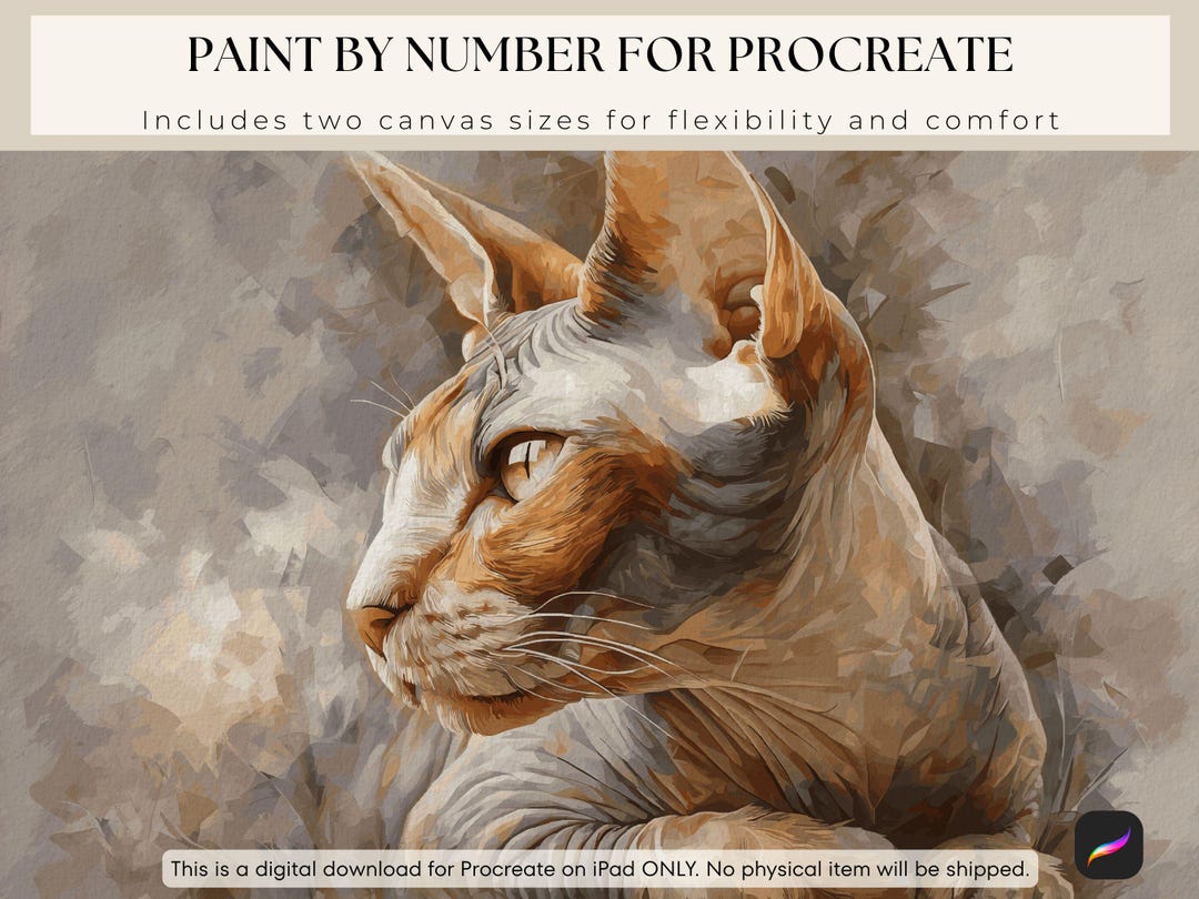 Quiet Velvet Gaze Sphynx Cat Paint by Number for Procreate on Ipad ...