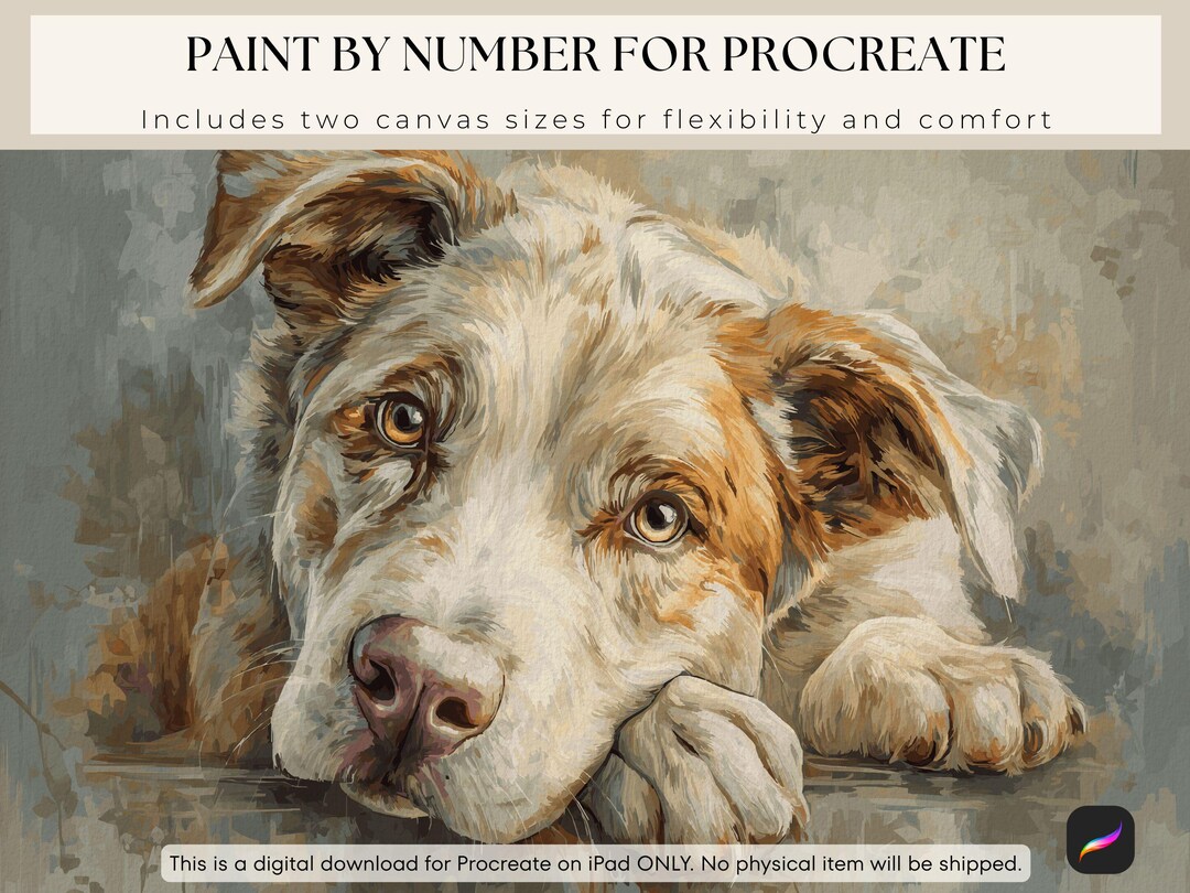 Waiting With Hope Still Intact Dog Paint by Number for Procreate on ...