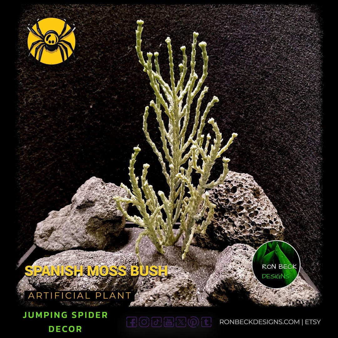Artificial Spanish Moss Bush: Reptile & Spider Enclosure Decor - Etsy