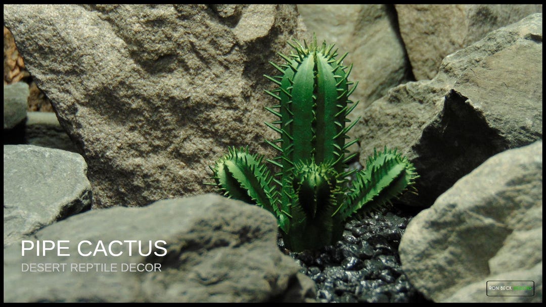 Artificial Pipe Cactus – Desert Reptile Habitat Snake Beetle Spider ...