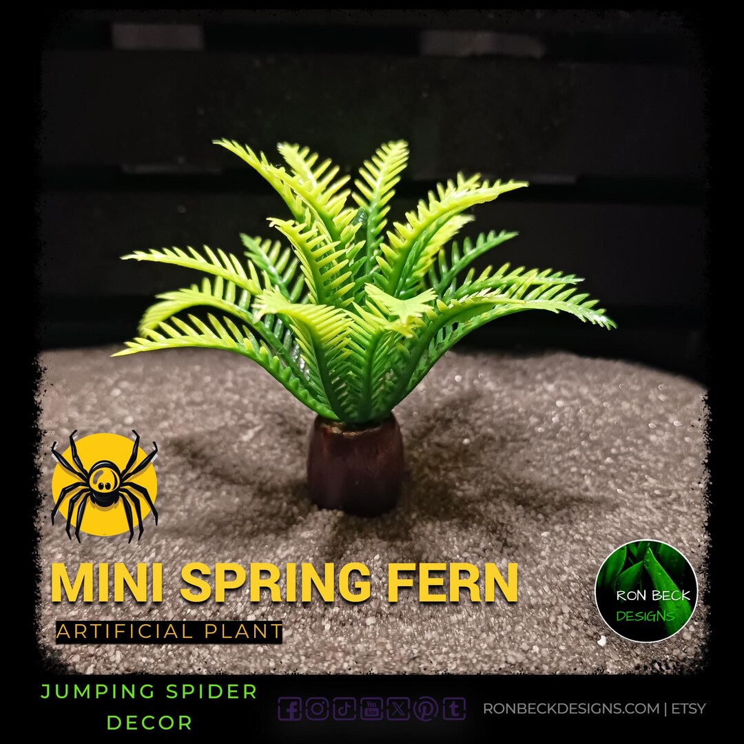 Miniature Artificial Spring Fern: Jumping Spider Enclosure Decor - Etsy