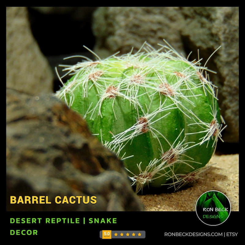 Faux Desert Plants - Etsy