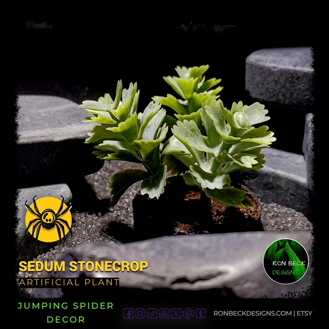 Artificial Sedum Stonecrop - Jumping Spider Reptile Beetle Decor ...
