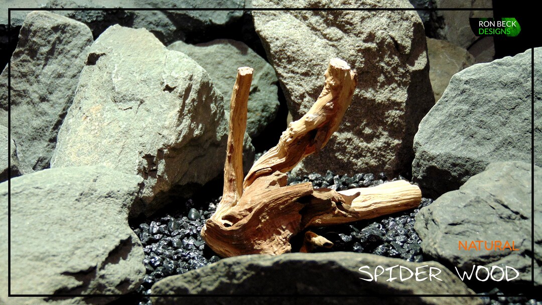 Natural Spider Wood Driftwood – Aquarium Reptile Decor – Ron Beck ...