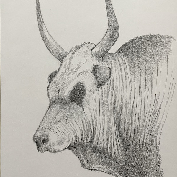 Graphite Drawing - Etsy