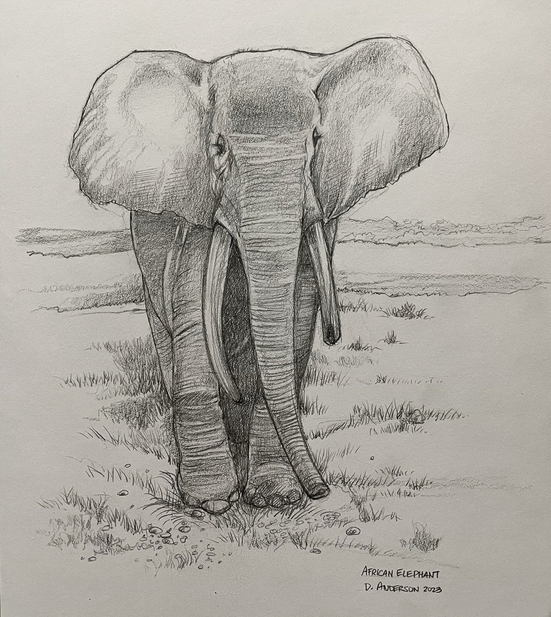 Original Wildlife Graphite Art Drawing of an African Elephant by Dennis ...