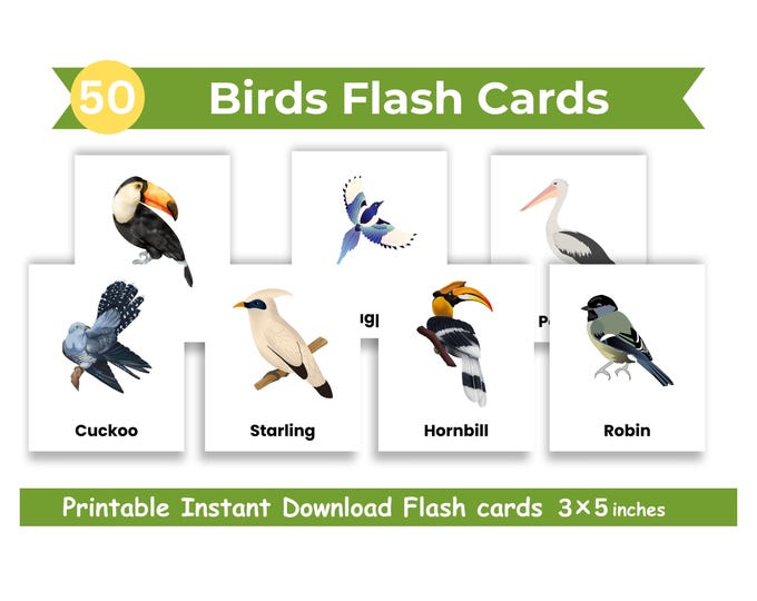 32 Birds Flashcards / Image Cards for Kids, Preschoolers. Nomenclature ...