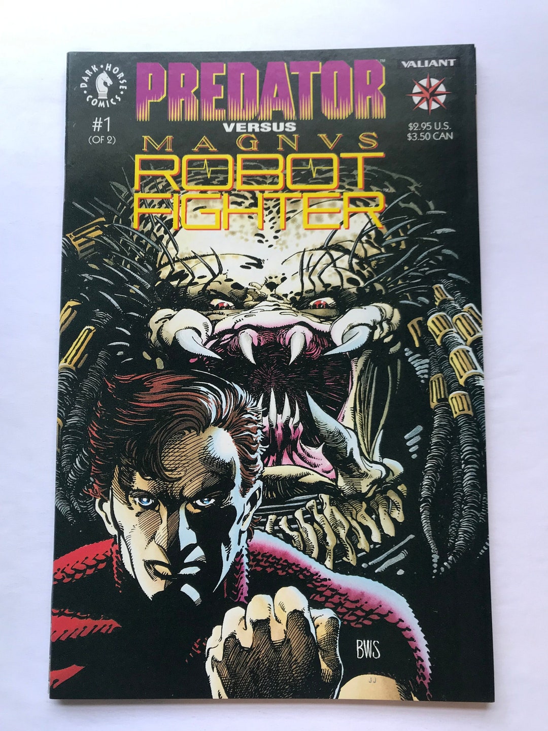 Predator Vs Magnus the Robot Hunter 1 (first Printings, VF/NM, Dark Horse Comics, Aliens, Berry ...