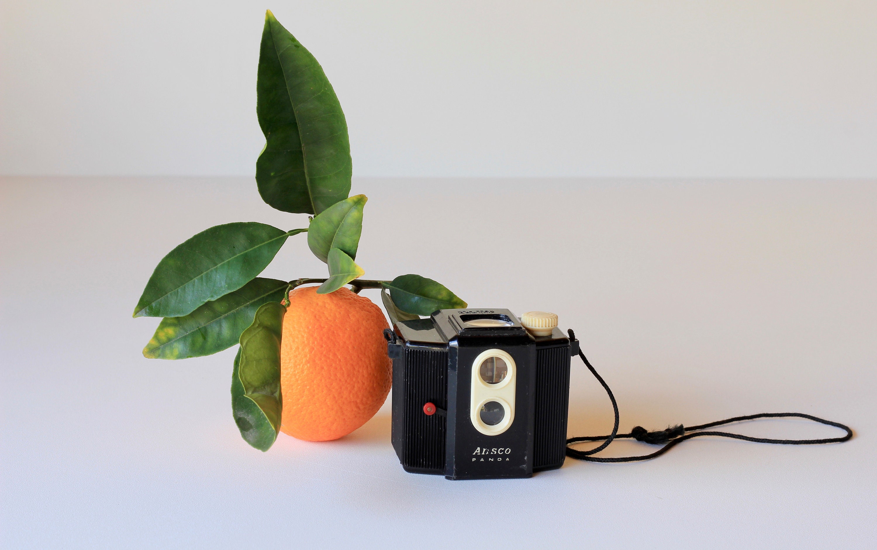 Retro Ansco Panda Child's Camera - Etsy