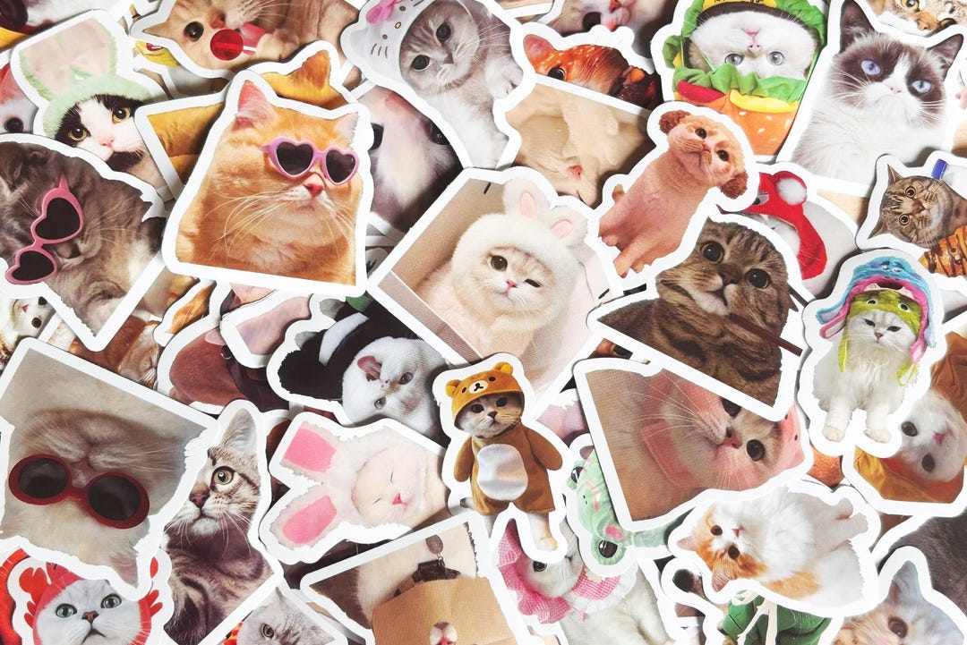 Cute Cat Meme Stickers Funny Cat Sticker Funny Waterproof Stickers ...
