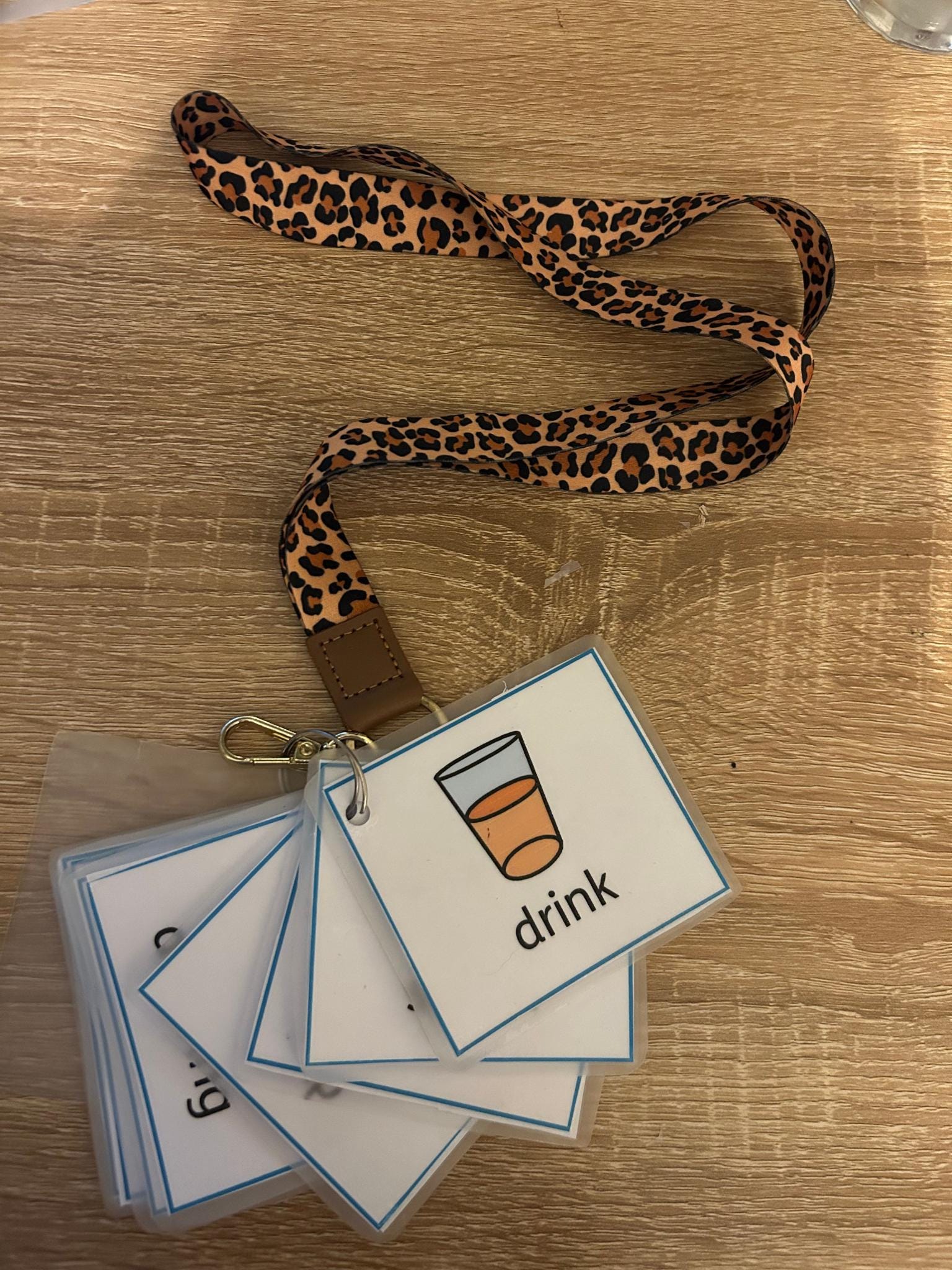 Classroom Symbol Lanyard – Visual Support Cards for Autism, SEN ...