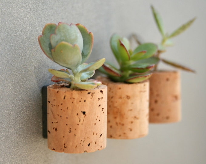Mini Cork Magnets, Mixed Set of 3 - Etsy