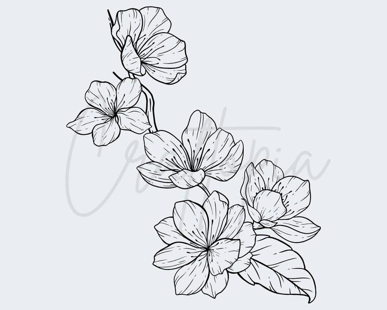 Cherry Blossom Clipart: Japanese Floral Design SVG PNG PDF - Etsy