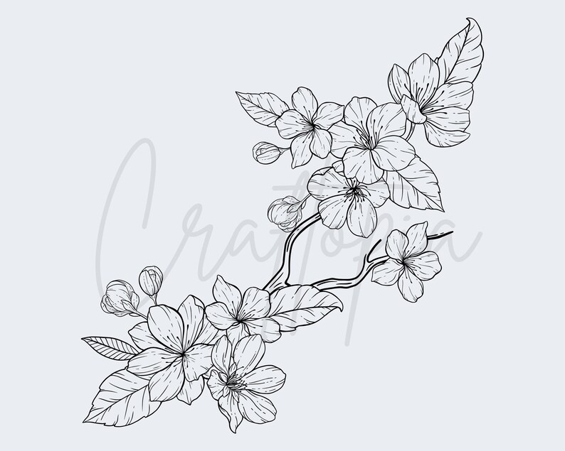 Cherry Blossom Clipart: Japanese Floral Design SVG PNG PDF - Etsy