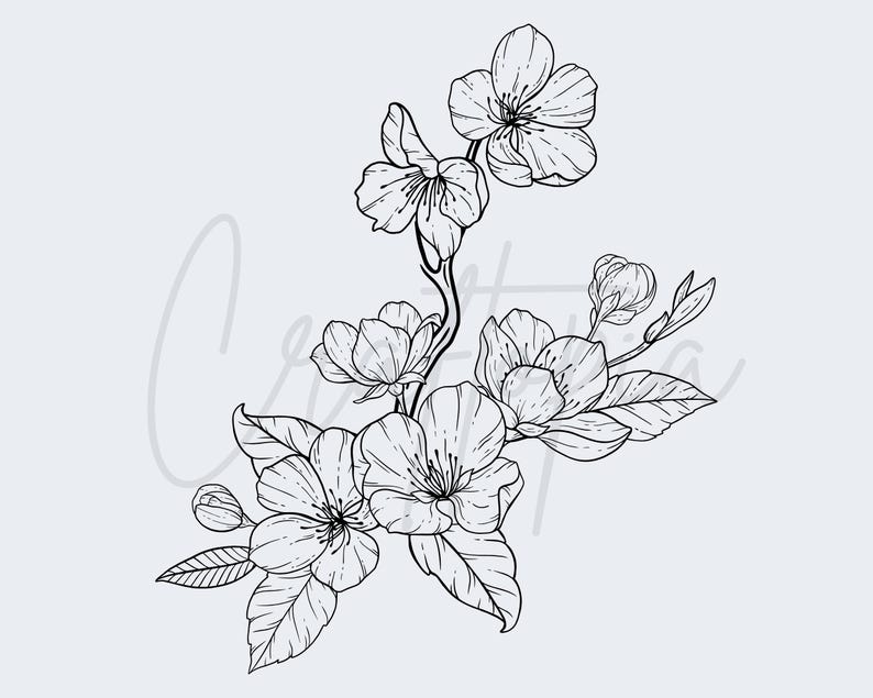 Cherry Blossom Clipart: Japanese Floral Design SVG PNG PDF - Etsy