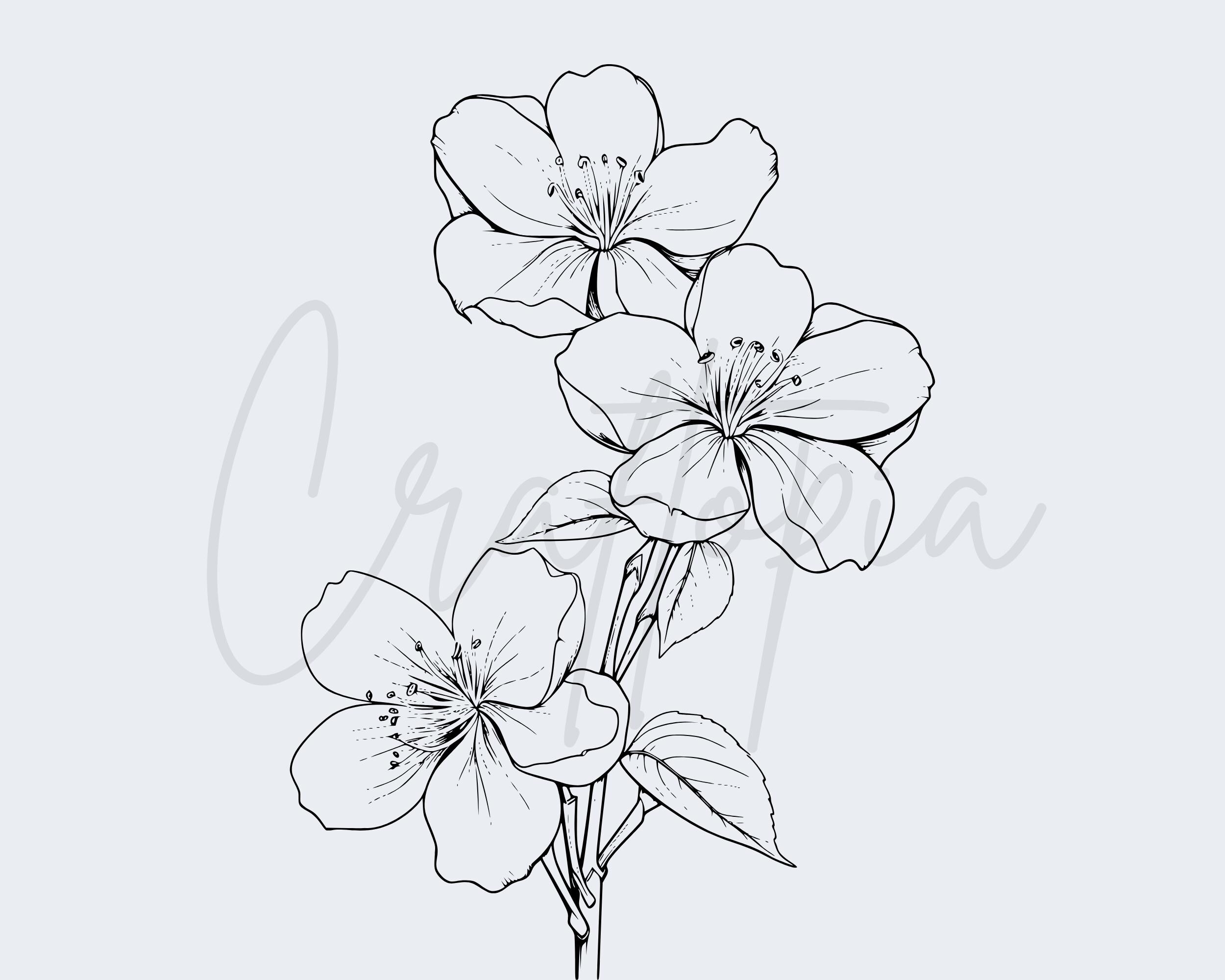 Cherry Blossom Clipart: Japanese Floral Design SVG PNG PDF - Etsy