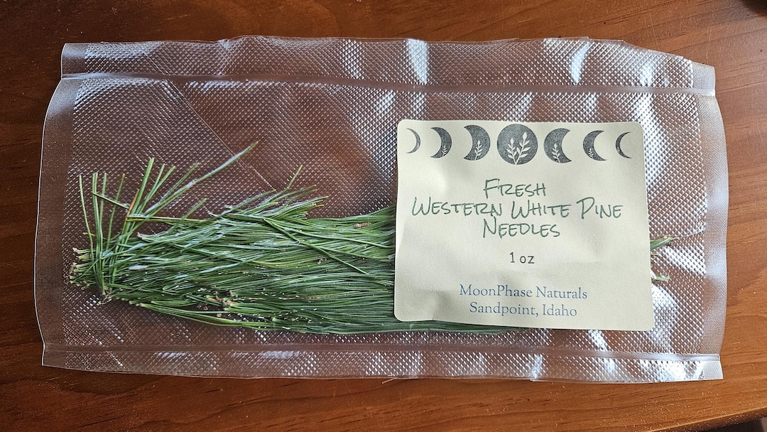 Western White Pine Needles - Etsy