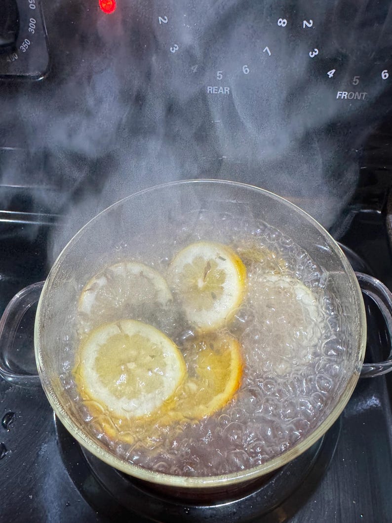 Lavender Citrus Simmer Pot - Natural Stovetop Potpourri With Lemon ...