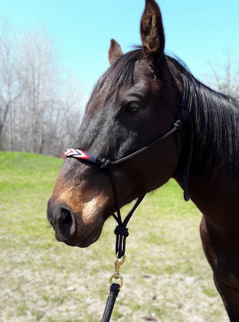 Handmade Horse Patriotic - Red, White + Blue - Beaded Rope Halter & Lead Rope, Native American ...