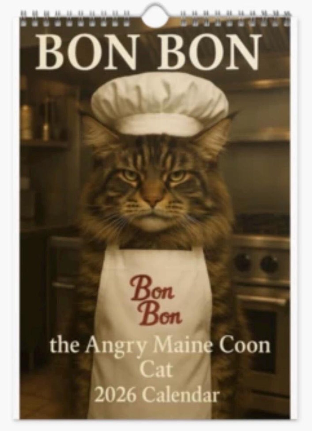 Official Bon Bon the Angry Maine Coon 2026 Calendar - Etsy