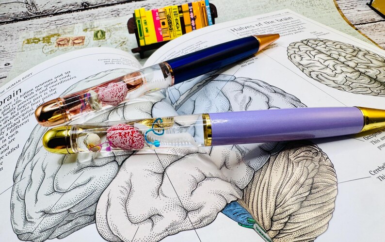 Anatomical Brain Float Pen: Skull, Spine & Stethoscope - Doctor/nurse ...