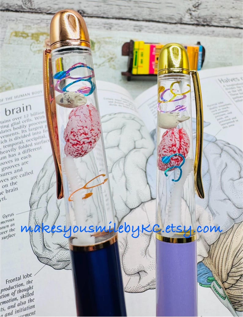 Anatomical Brain Float Pen: Skull, Spine & Stethoscope - Doctor/nurse ...