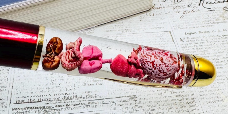 Anatomical Float Pen: 3D Human Organs, Medical Gift - Etsy