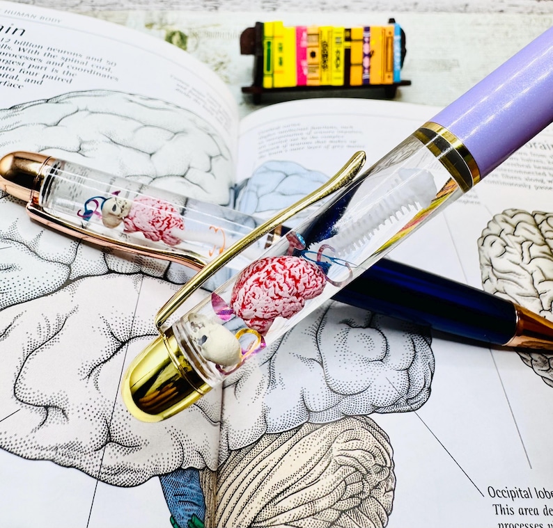 Anatomical Brain Float Pen: Skull, Spine & Stethoscope - Doctor/nurse ...