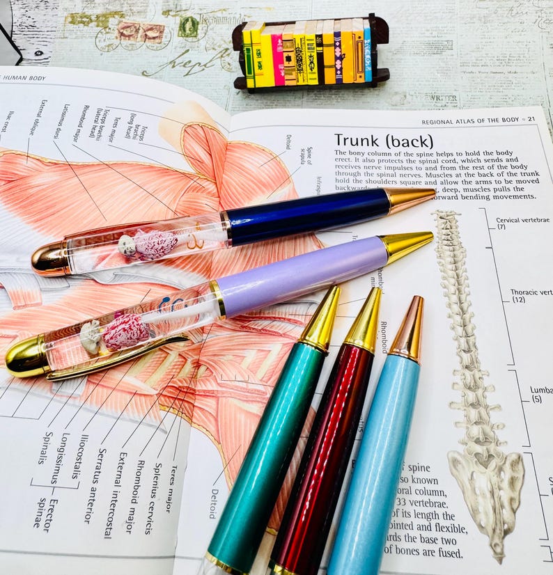 Anatomical Brain Float Pen: Skull, Spine & Stethoscope - Doctor/nurse ...