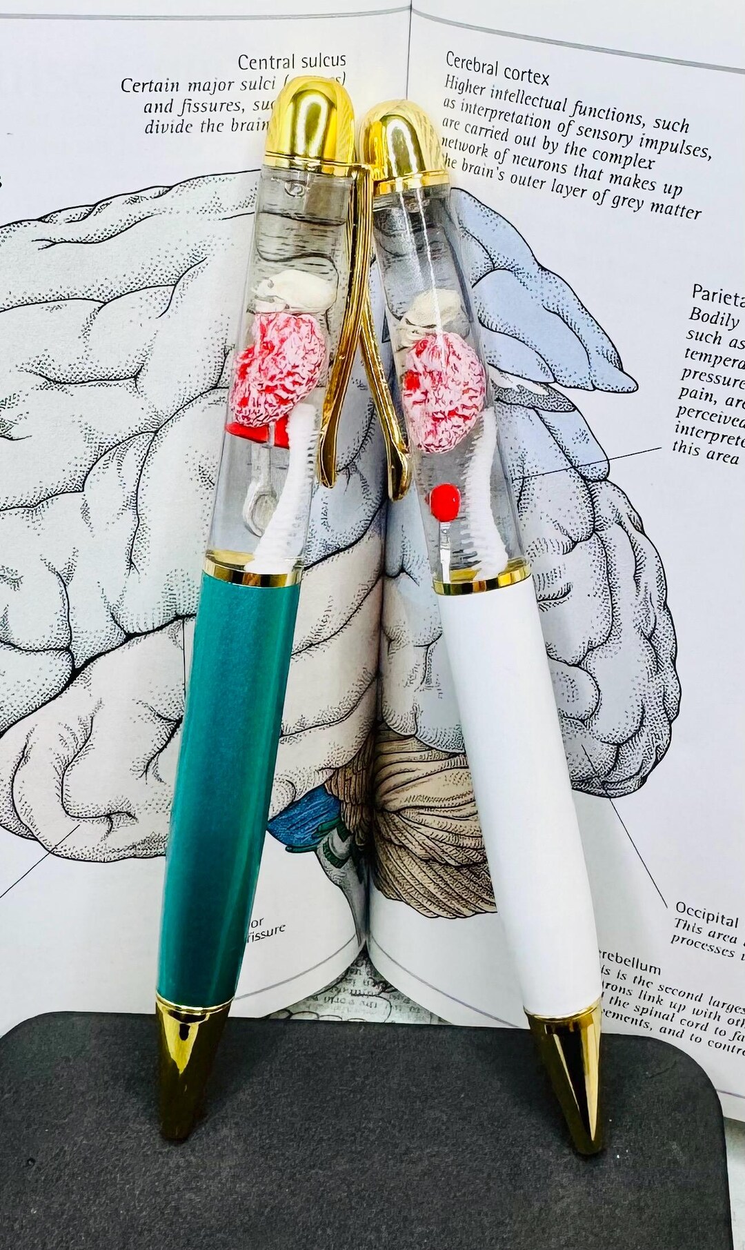Anatomical Brain Float Pen - Skull, Spine & Reflex Hammer - Doctor ...