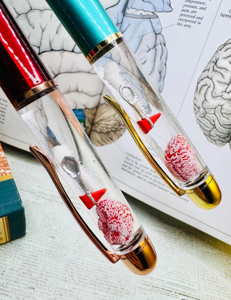 Anatomical Brain Float Pen With Spine and Reflex Hammer - Doctor ...