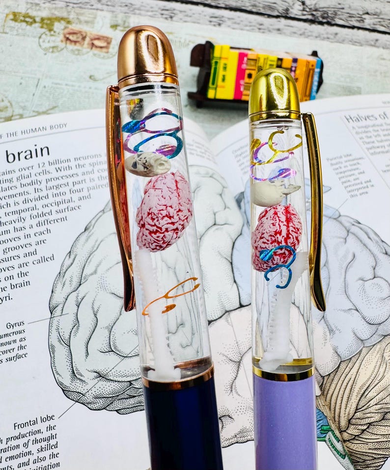 Anatomical Brain Float Pen: Skull, Spine & Stethoscope - Doctor/nurse ...