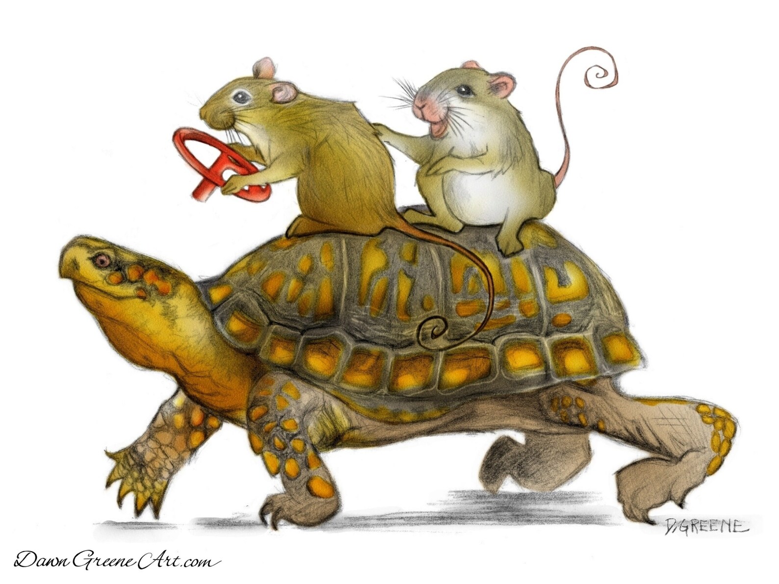 Turtle and Two Mice A2 Note Card Blank - Etsy
