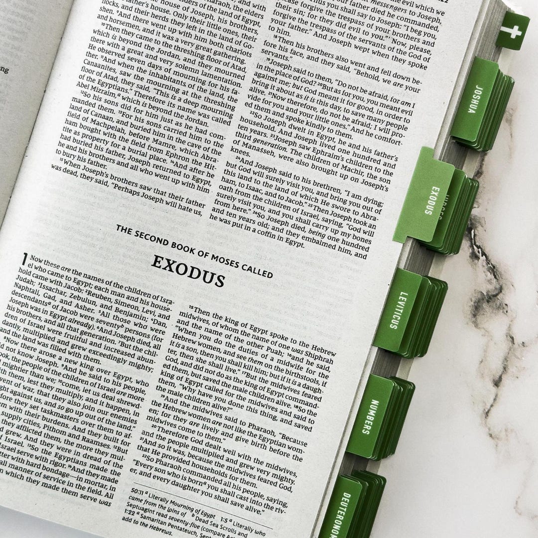 Olive Green Bible Tabs - Sage Minimalist Scripture Index for Women ...