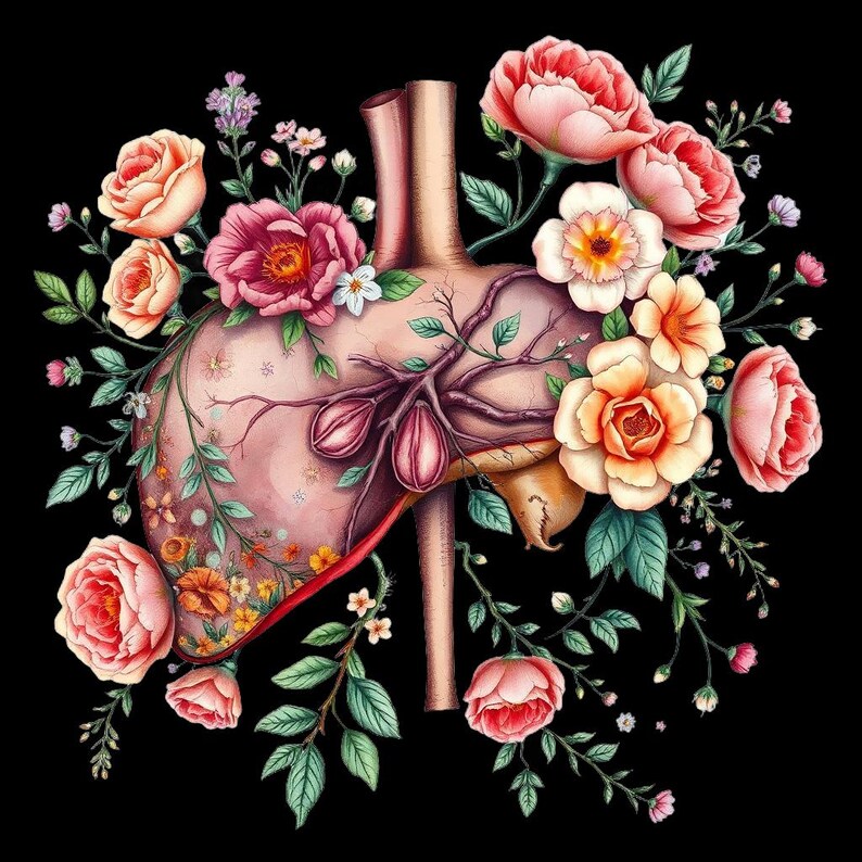 Floral Liver Clipart PNG SVG | 21 Transparent Images | Botanical Organ ...