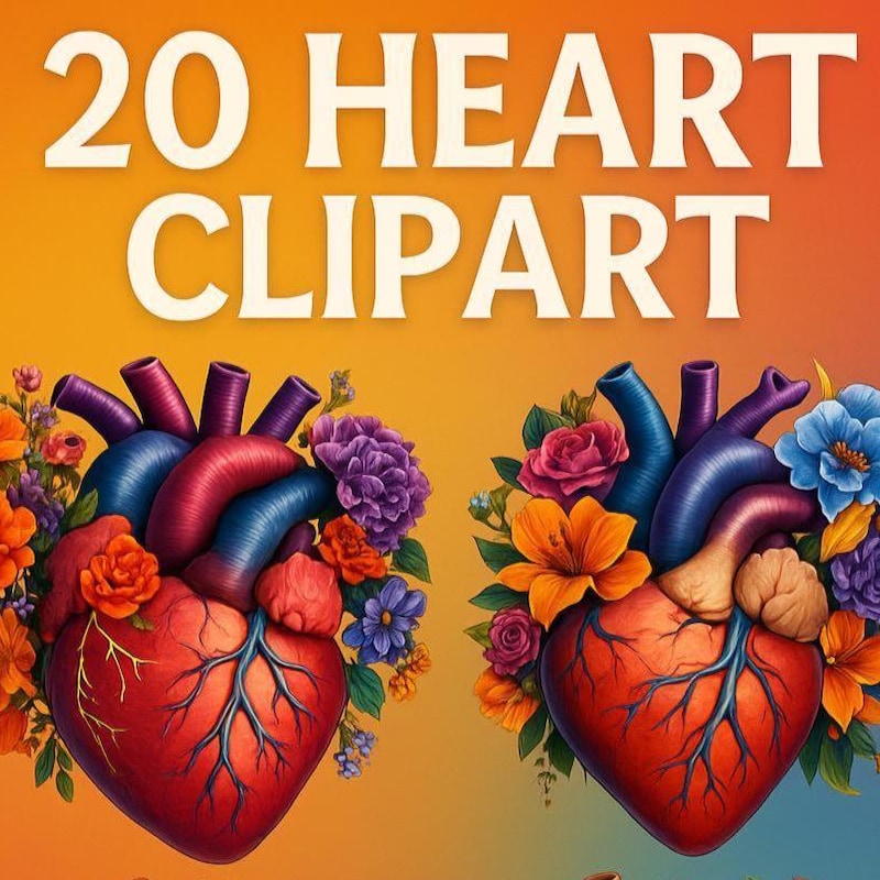 Anatomical Heart Art - Etsy