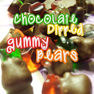 No More Naked Bears Chocolate Dipped Gummy Bears HALF POUND Chocolate ...