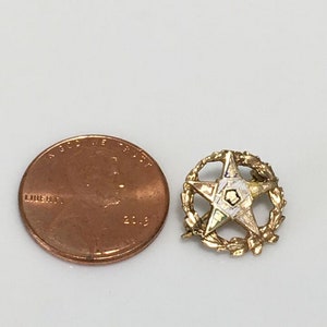 14K Yellow Gold "order of the Eastern Star" Pin Enameled Fraternal ...