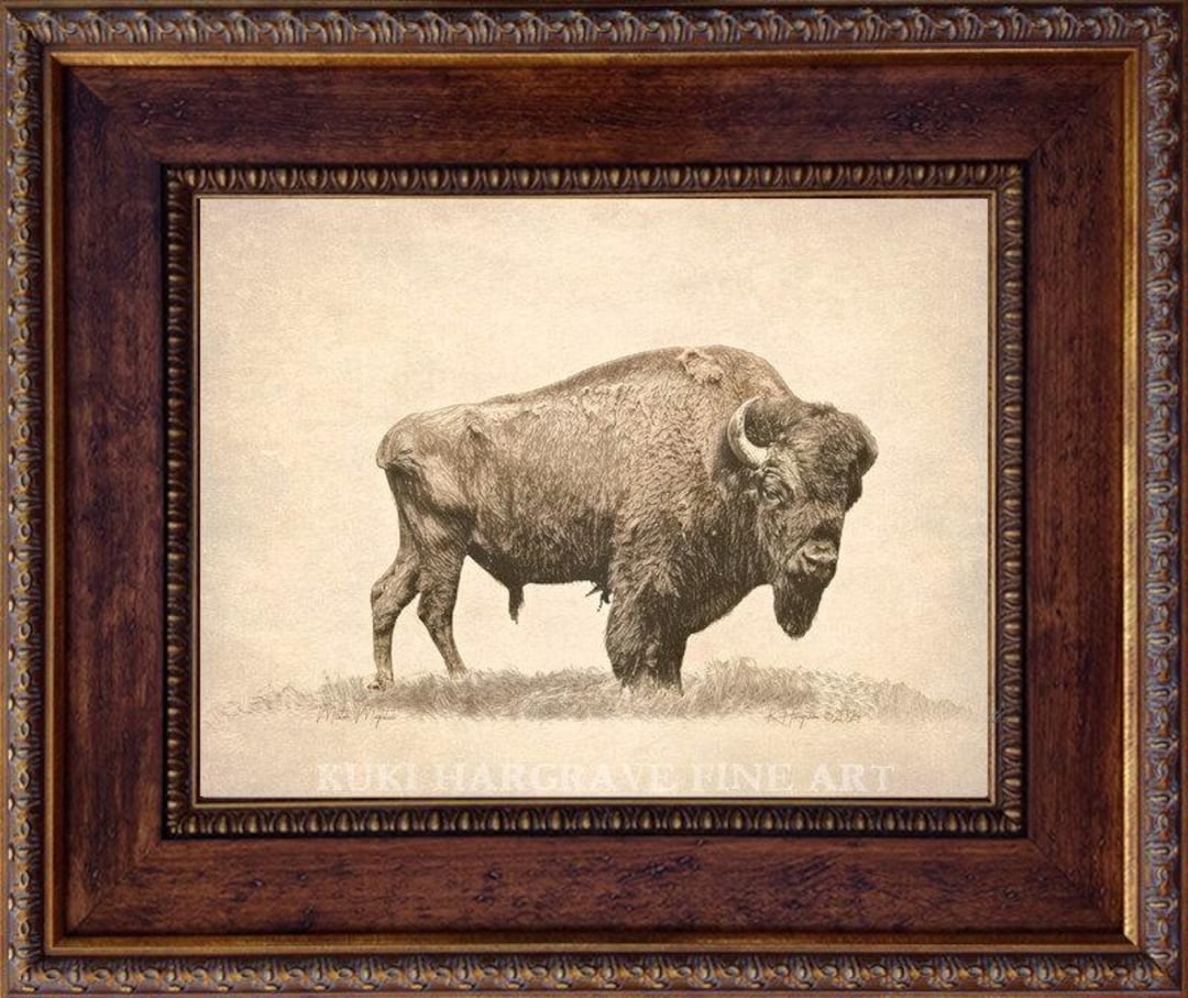 American Bison Print: Signed Wildlife Landscape Sketch Art - Etsy